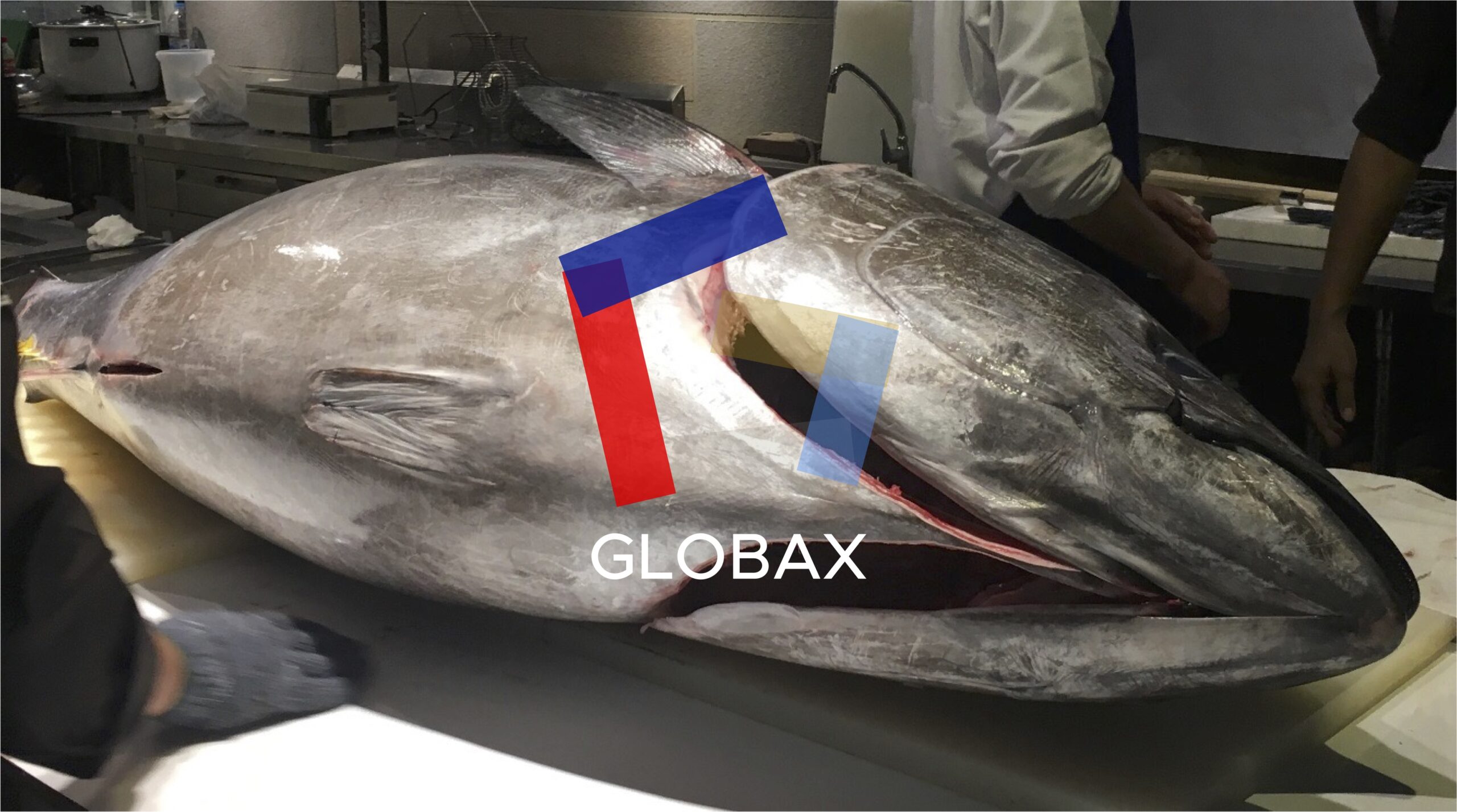 Fresh Seafoods - GLOBAX